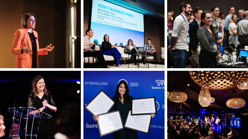 Insights - ACE New Zealand