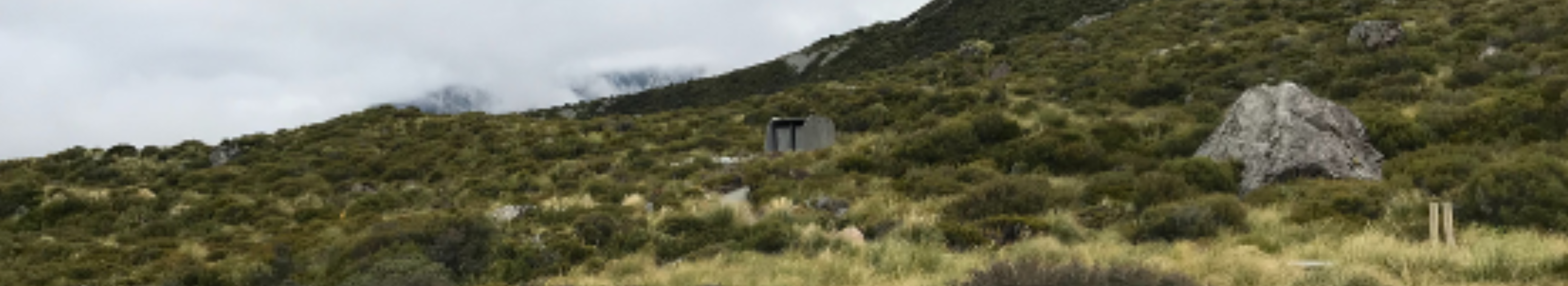 A toilet in the middle of nowhere - with Derek Chinn - ACE New Zealand