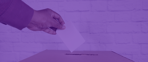 It's time to vote: 2025 ACE New Zealand Board and Regional Chair ...