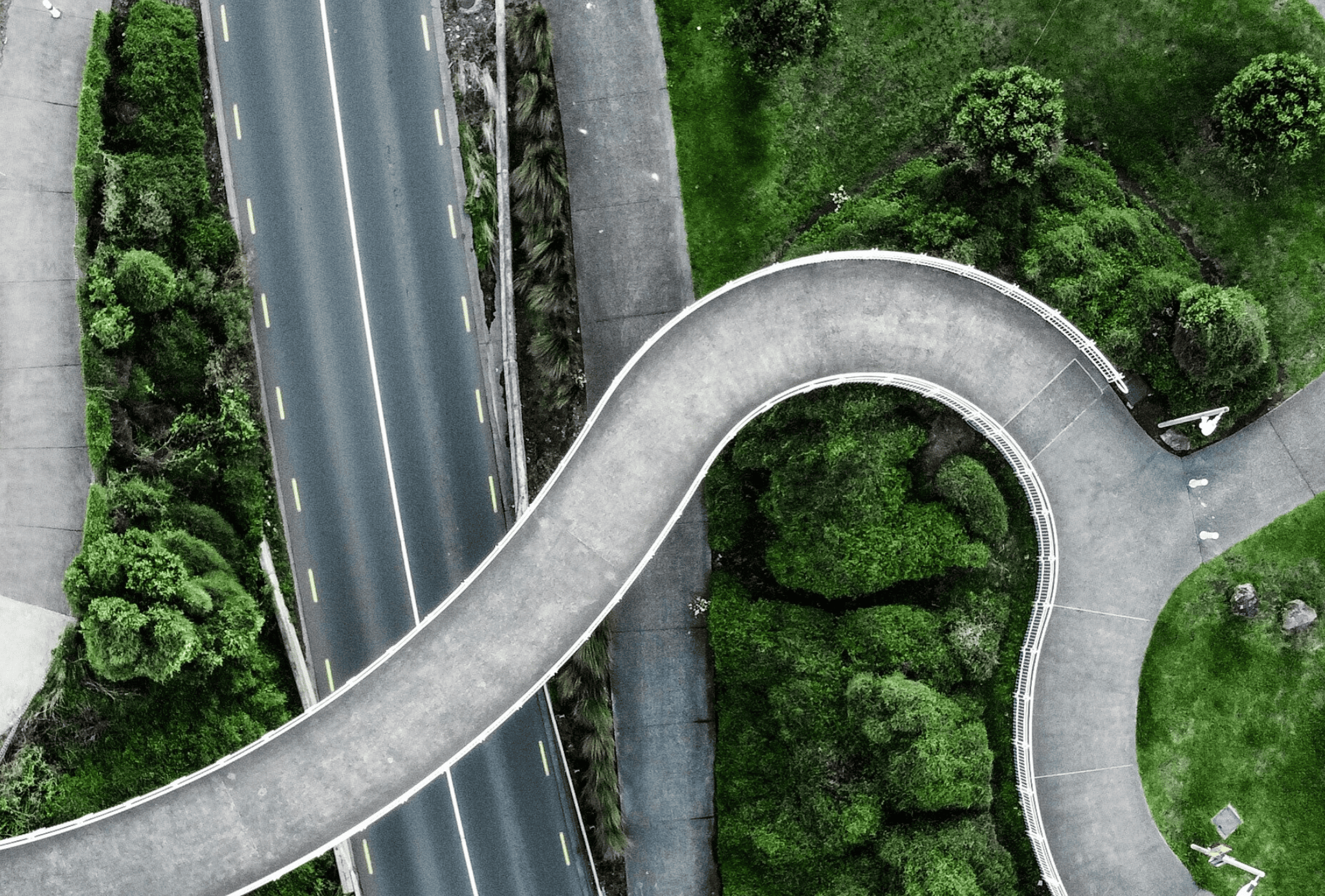 Driving better consultant and client engagement - ACE New Zealand