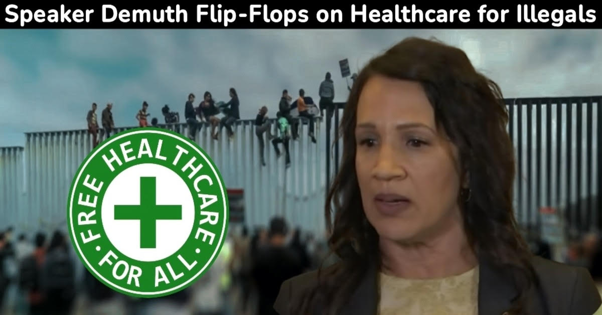 RINO Speaker Lisa Demuth Caving on Illegal Alien Healthcare; Uses Woke ...