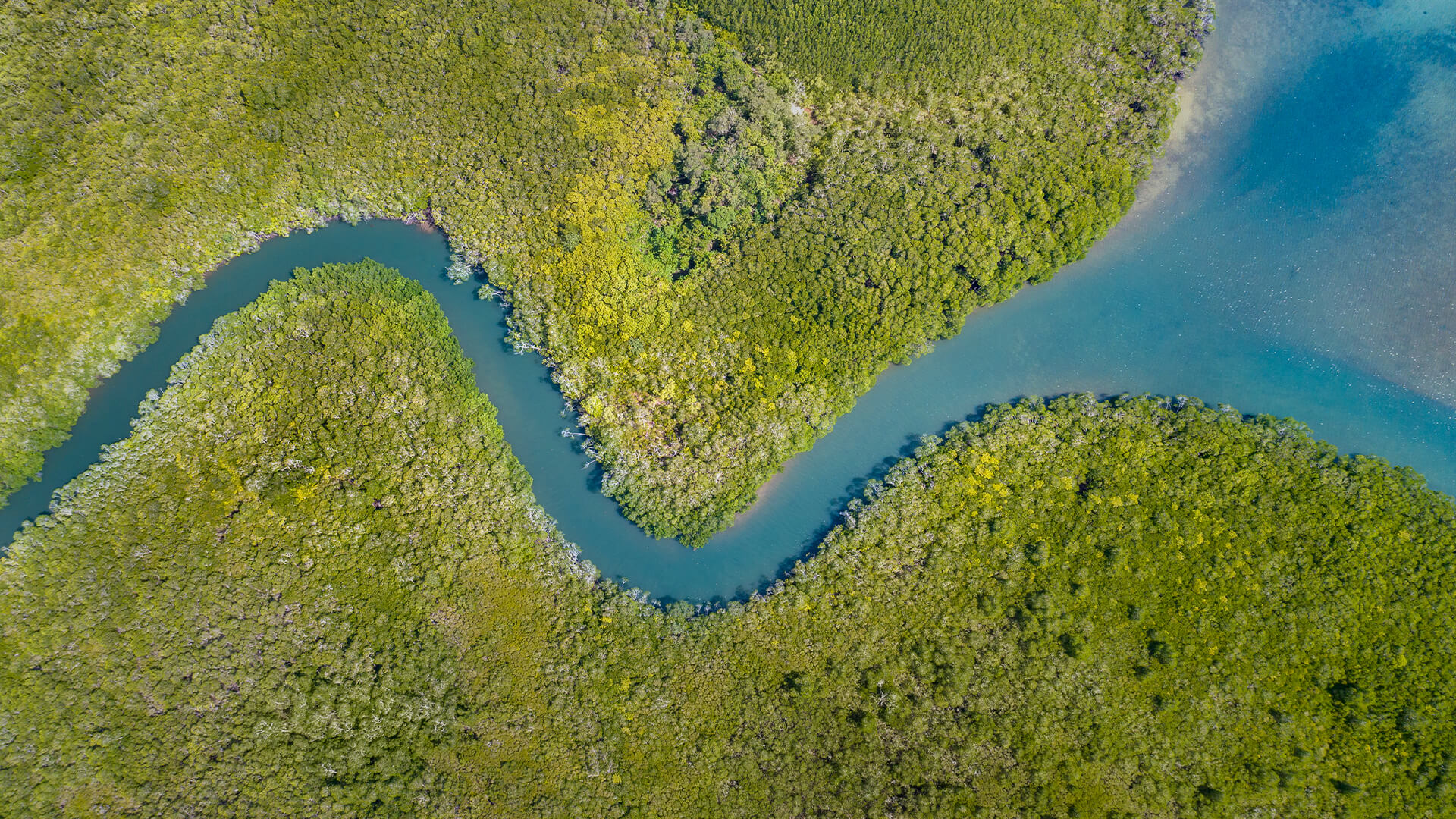 Advance | Front and Centre