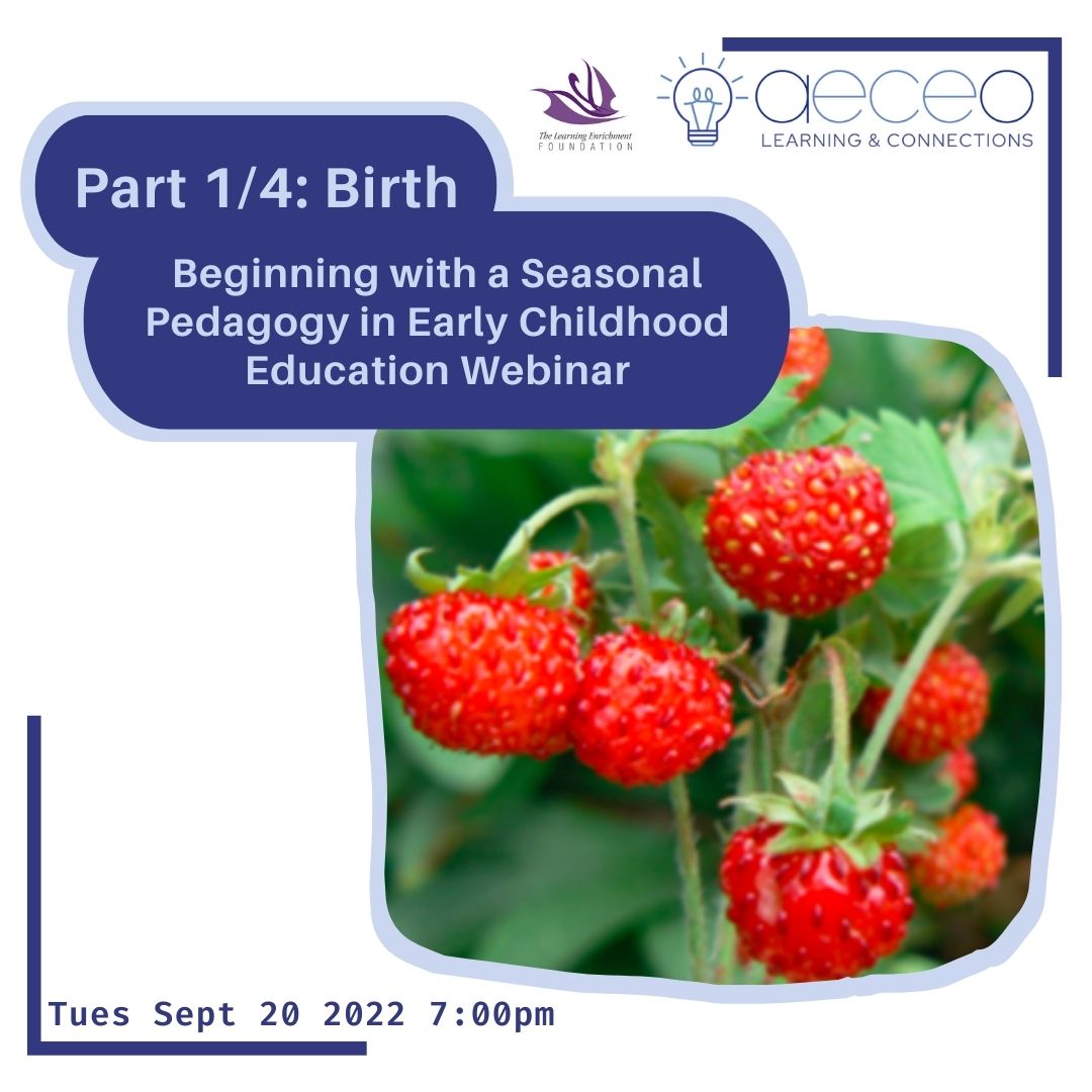 AECEO Professional Learning and Connections - Association of Early ...