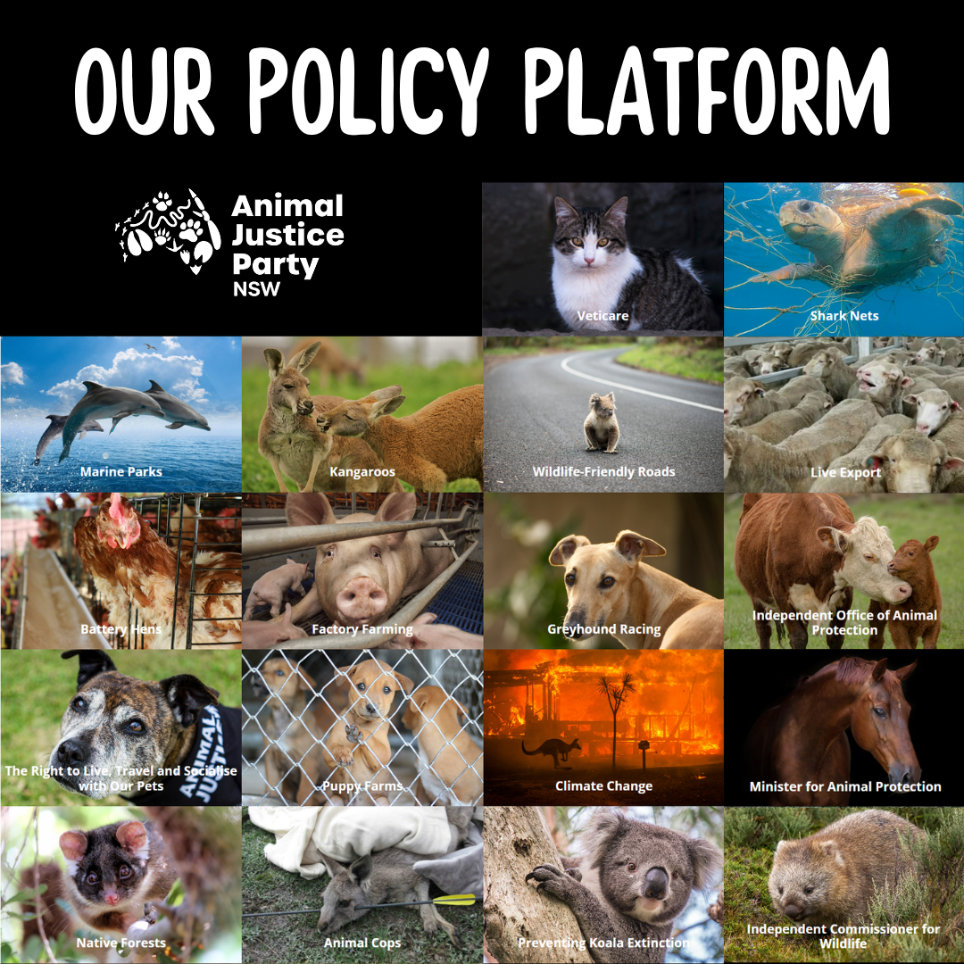 NSW State Election Platform - Launched