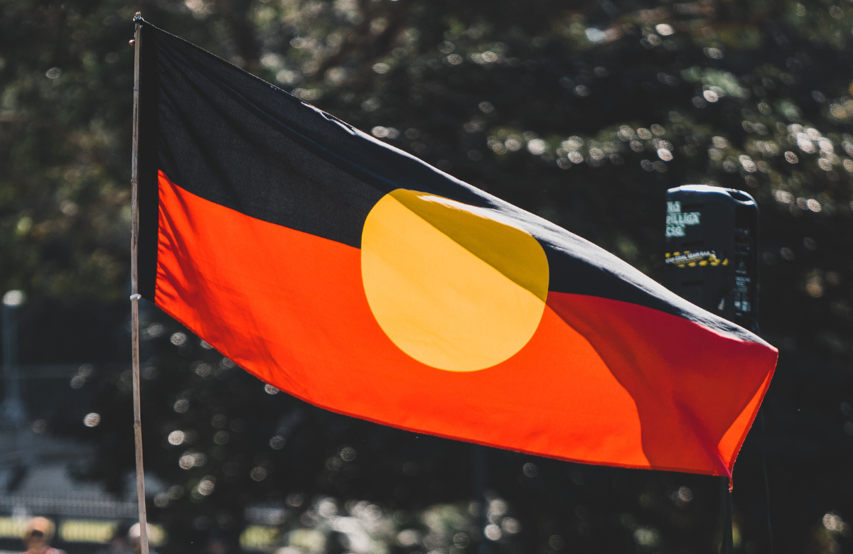 Media Statement on the First Nations Voice to Parliament - Animal ...