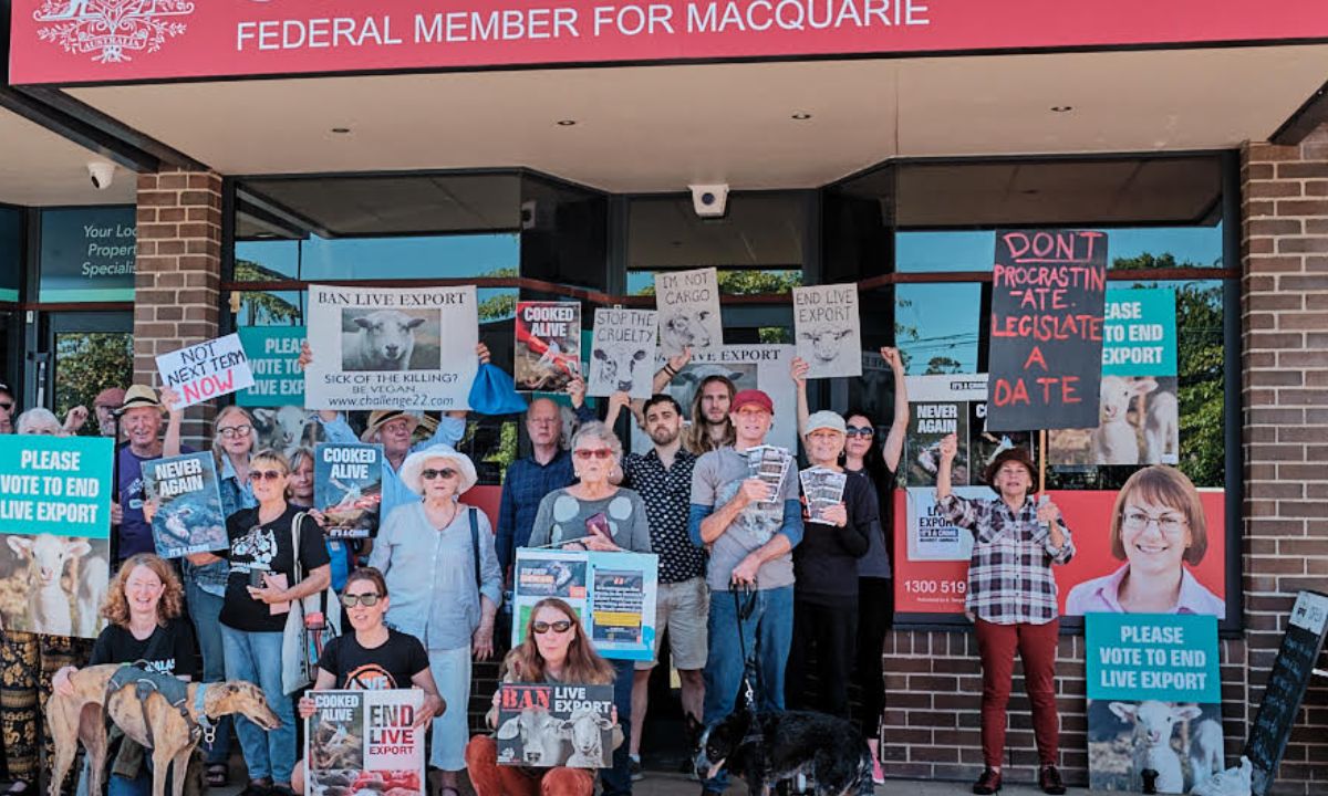 Submission Guide: Environment Protection Reform Bills