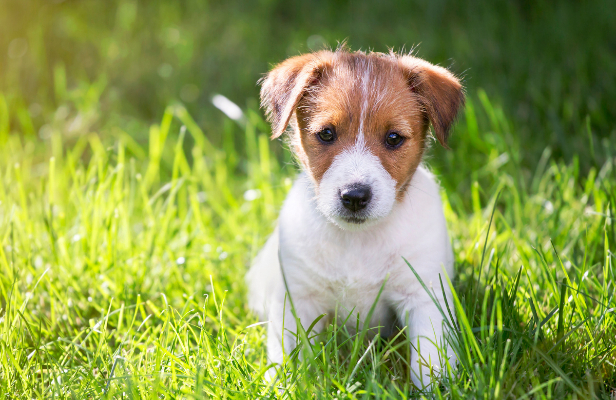 South Metro Regional Group - AJPACT2022