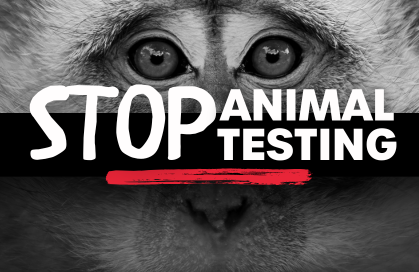 Stop Animal Experimentation