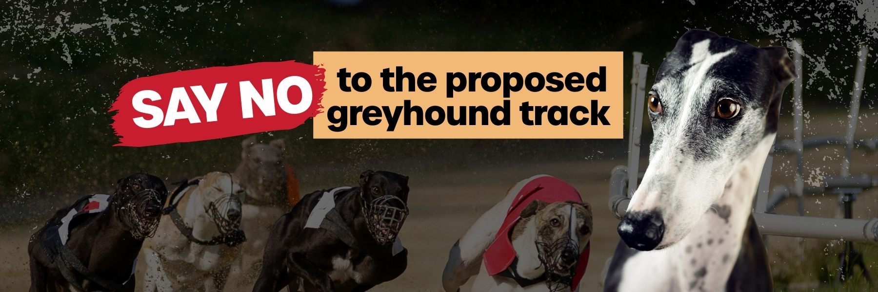 Submission Guide: Say No to Proposed Orange Greyhound Track - Animal ...