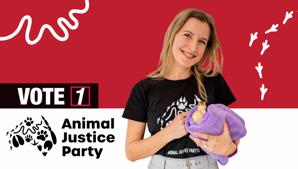 Queensland Branch of the Animal Justice Party