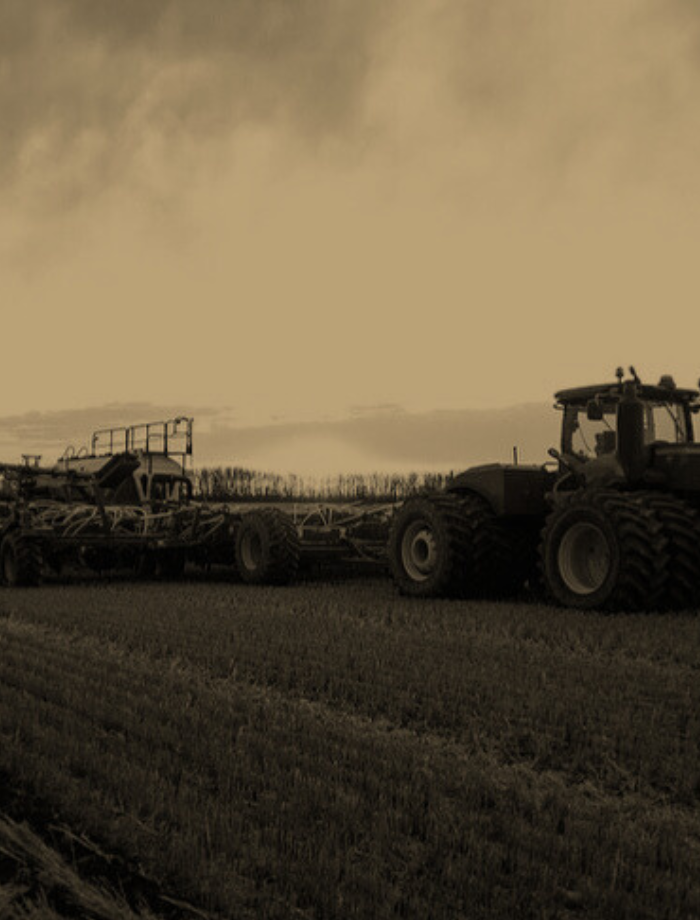 The Ploughboy: Reforming our View of Earthly Citizenship