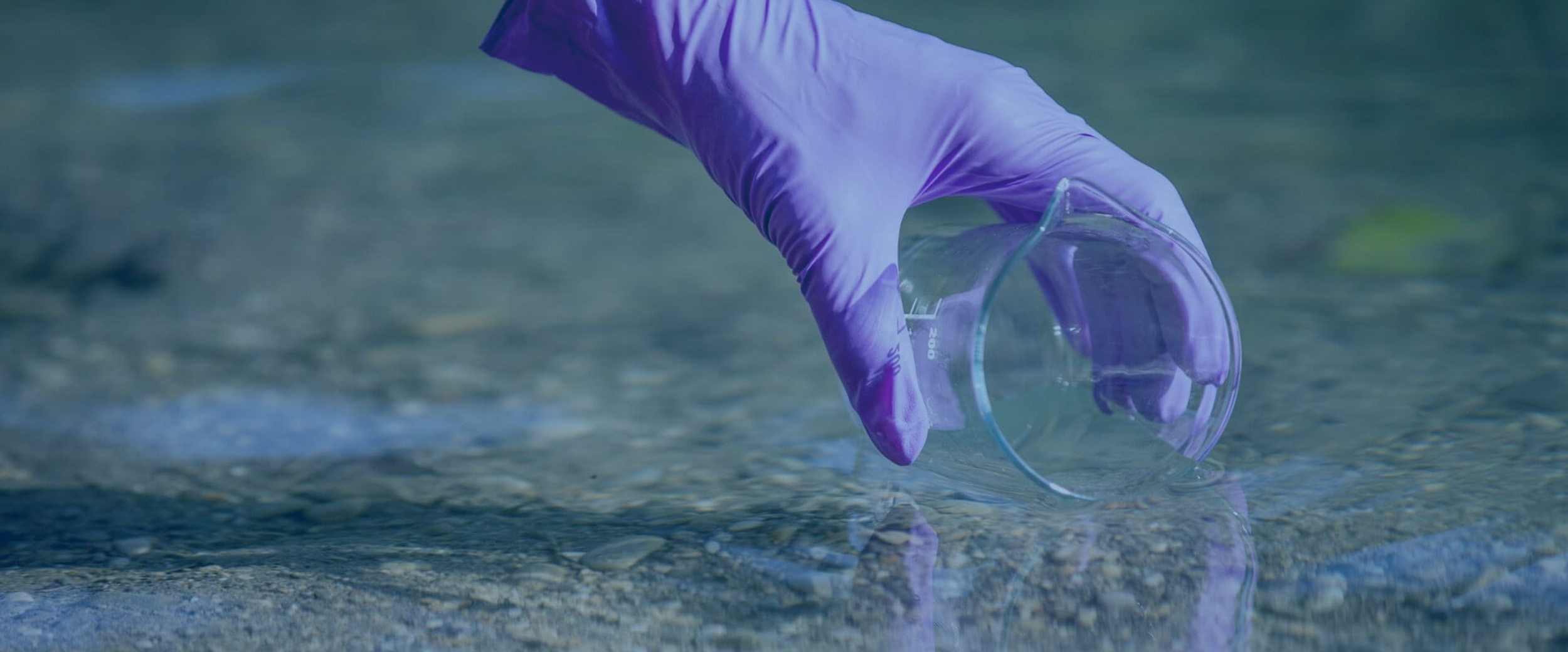 Largo Clean Water Act Enforcement - Suncoast Waterkeeper