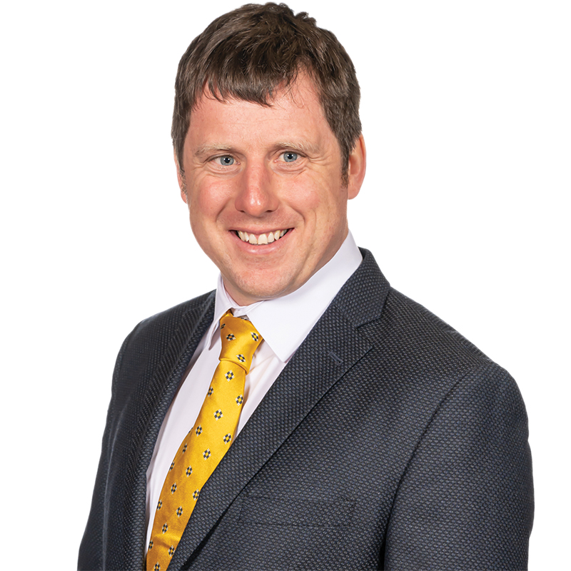 Our Councillors - Alliance Party