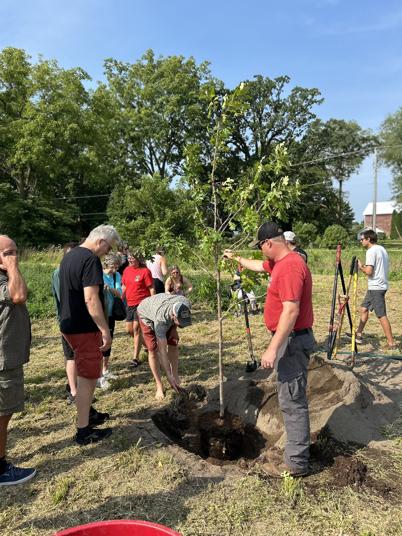 Anderson Park Friends