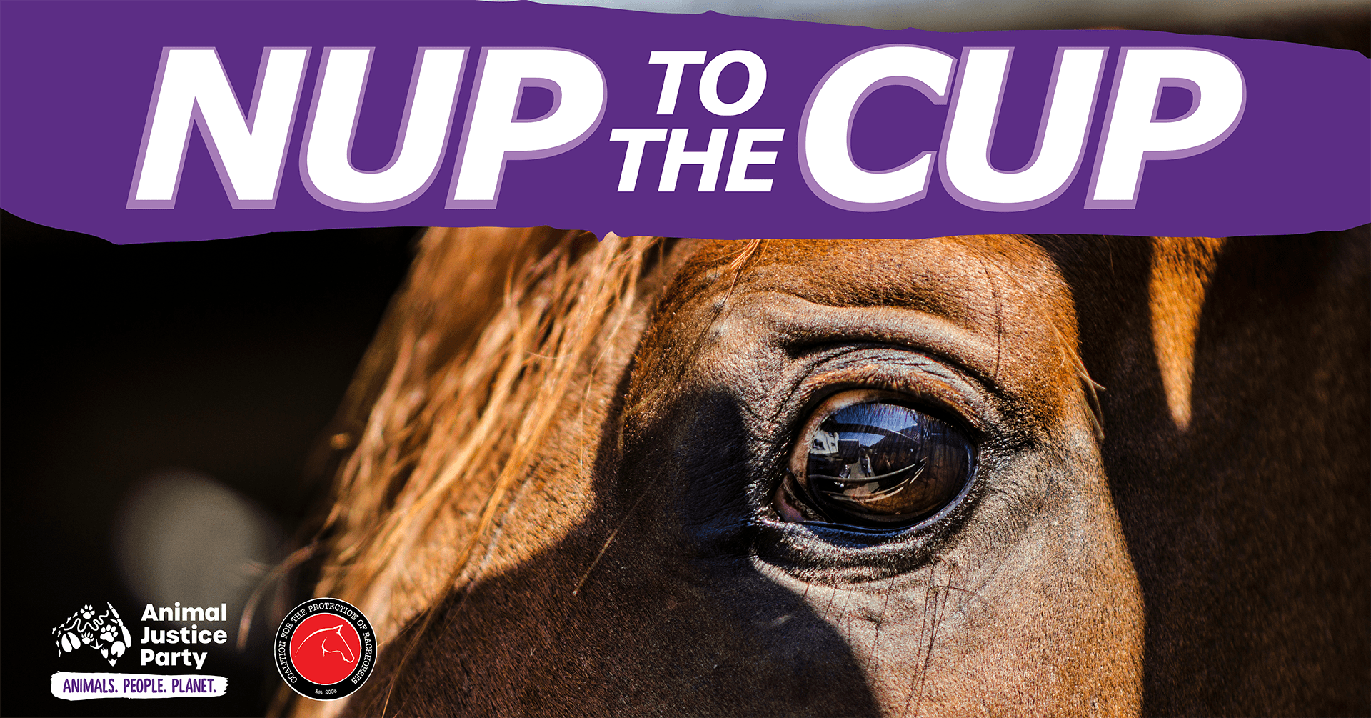 Nup to the Cup - Geelong Cup Protest - Animal Justice Party Victoria