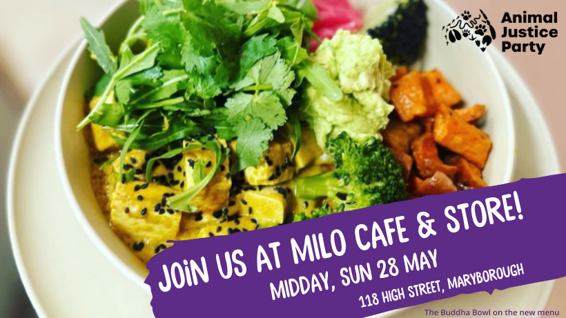 Social catch-up at Milo Cafe in Maryborough - Animal Justice Party Victoria