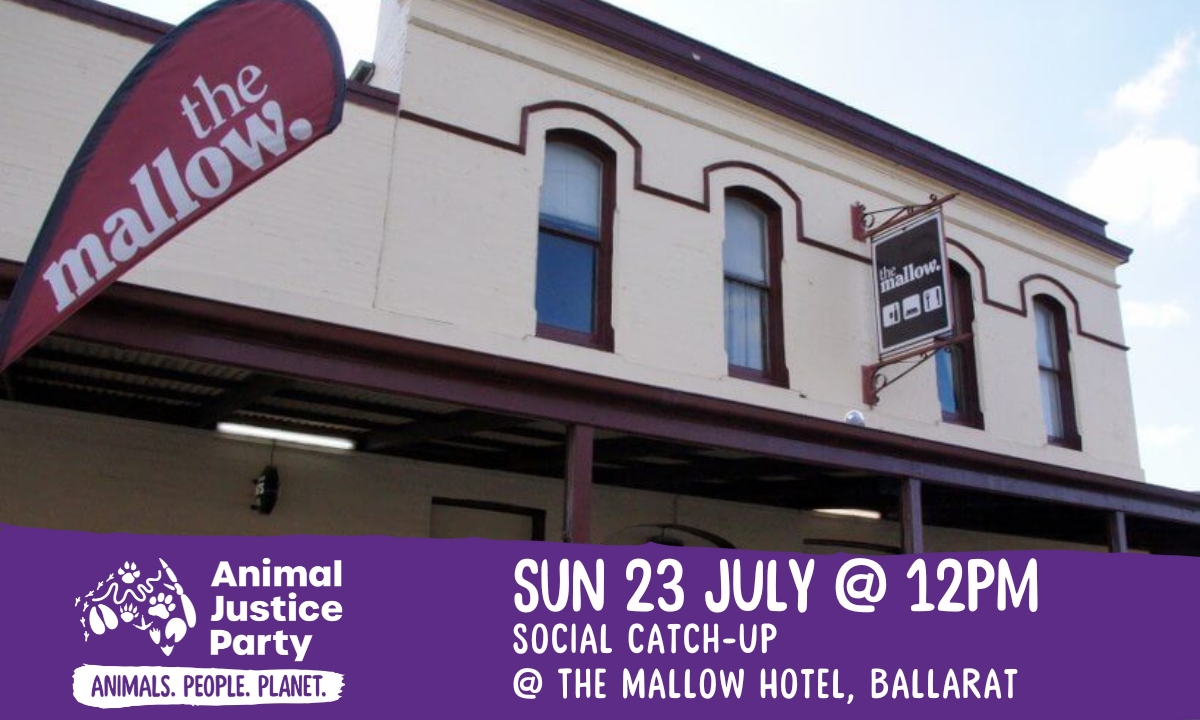 Social Catch-up at The Mallow - Animal Justice Party Victoria