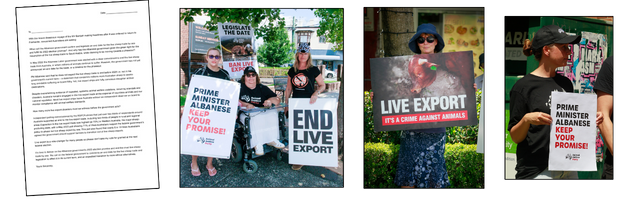 Protest Live Export - Office of Hon Mark Dreyfus KC MP (Isaacs ...