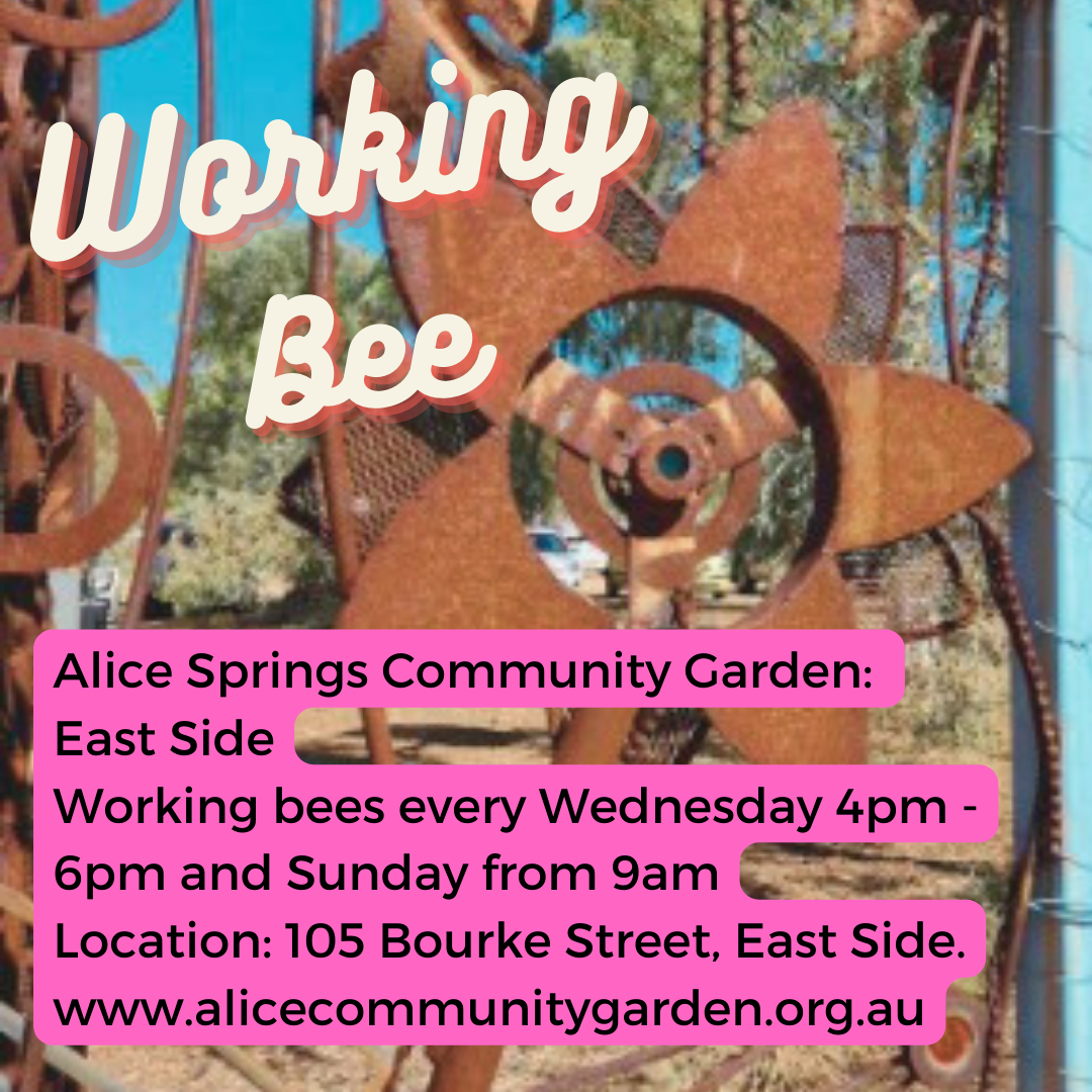 Alice Springs Community Garden: EastSide Working Bee - Arid Lands ...