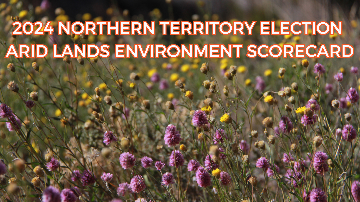 ALEC 2024 Territory Election environment scorecard