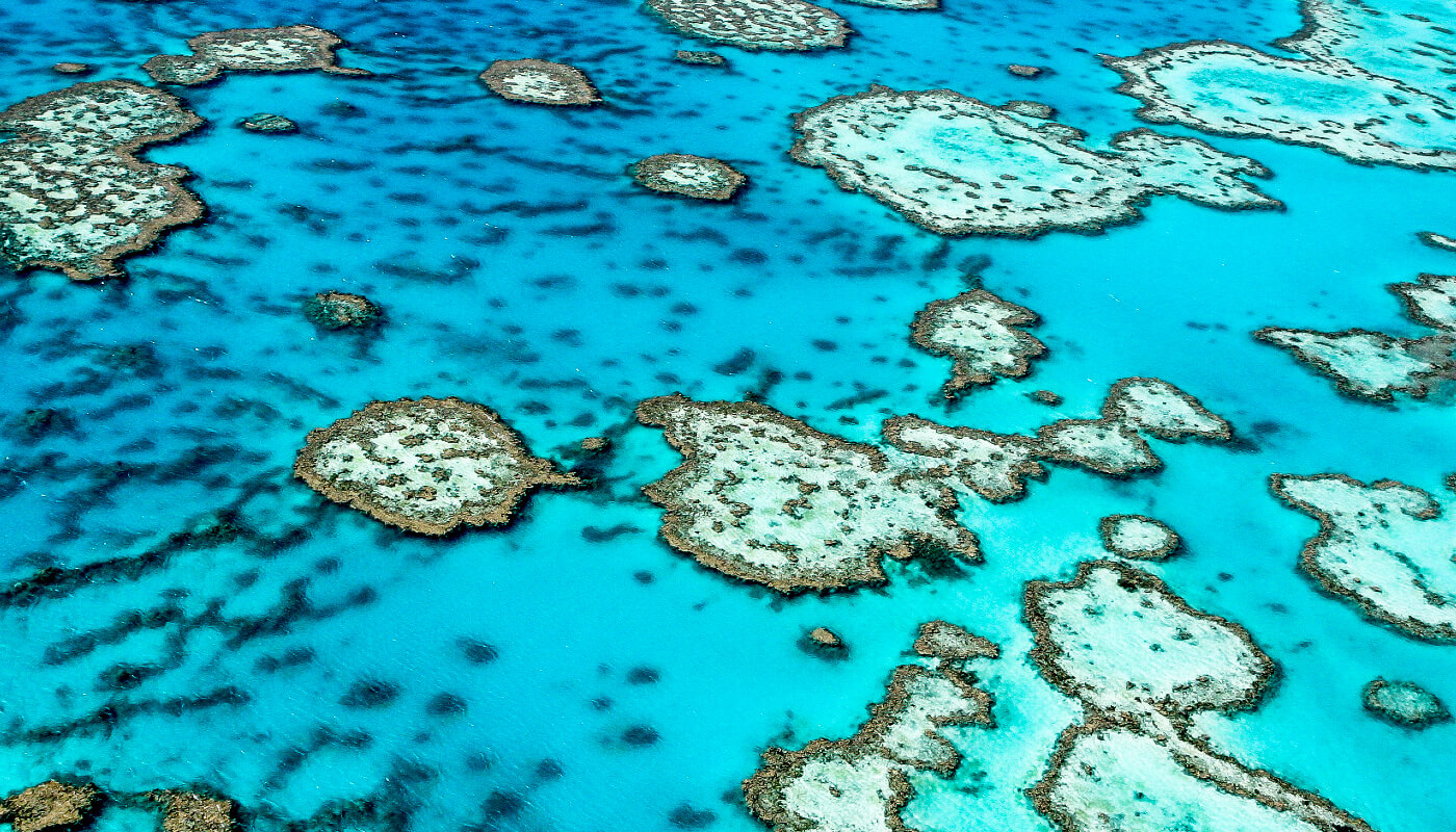 Publications - Australian Conservation Foundation