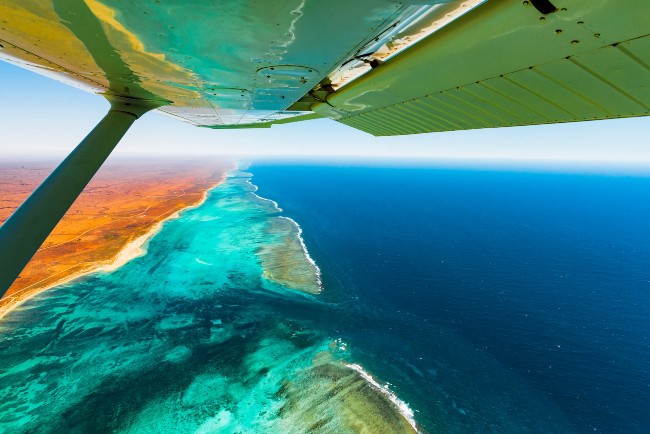 Ningaloo Reef at risk - Australian Conservation Foundation