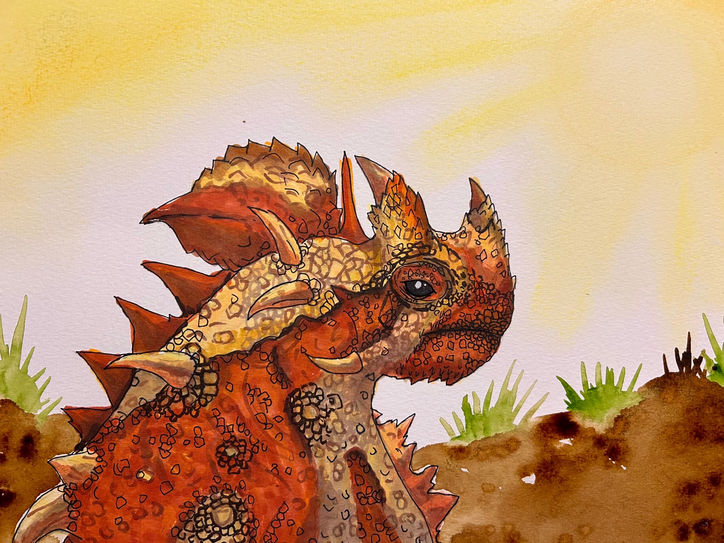 Wild At Art 2024: the winners - Australian Conservation Foundation