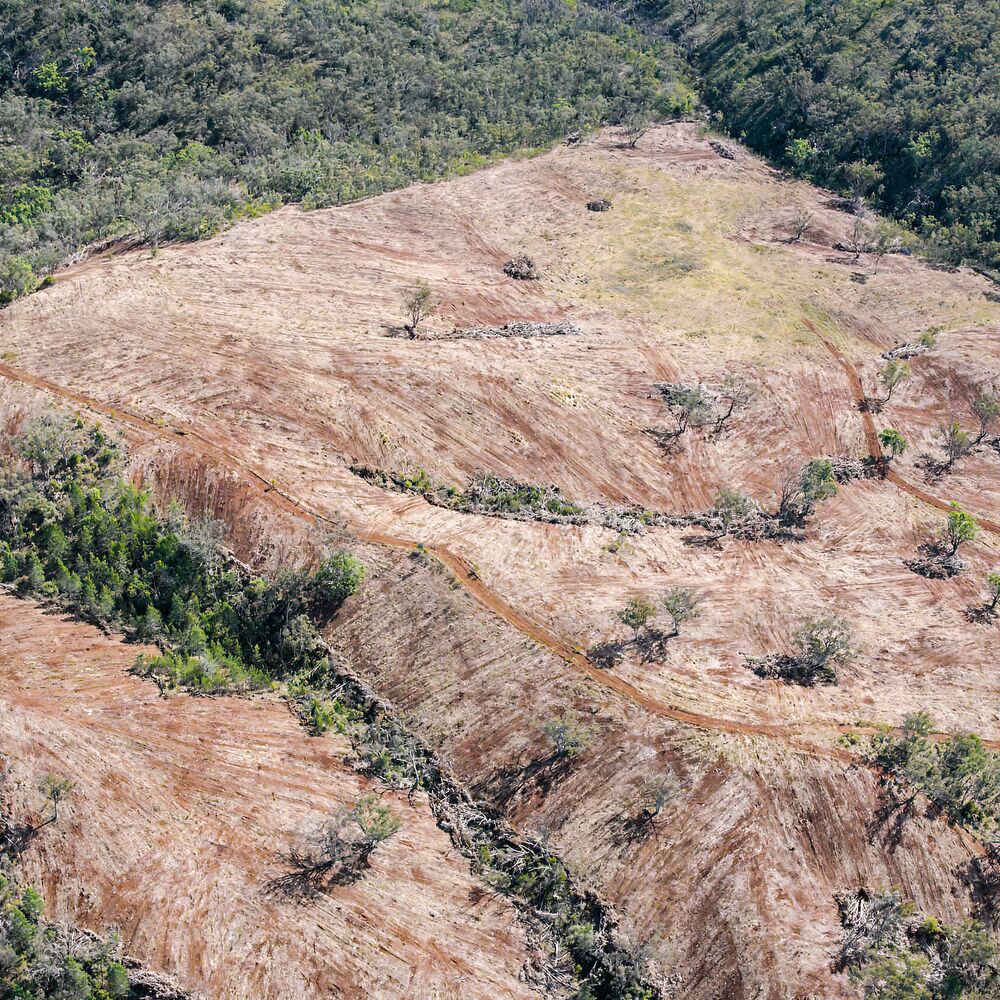 Deforestation open letter delivery to Coles - Australian Conservation ...