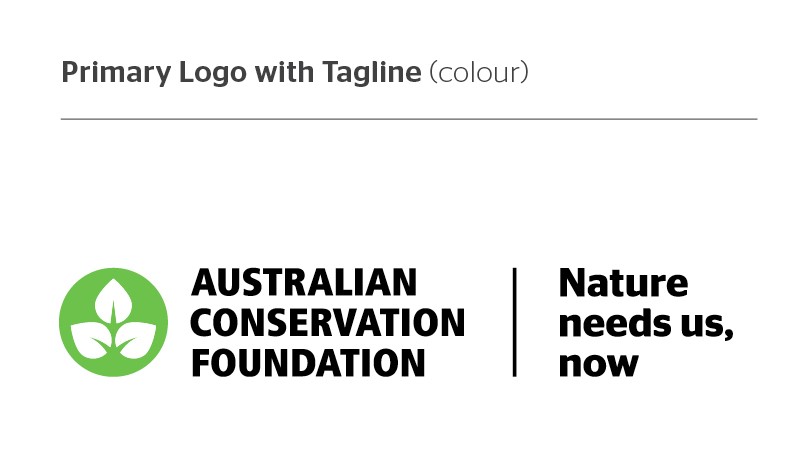 The ACF logo - ACF style guide