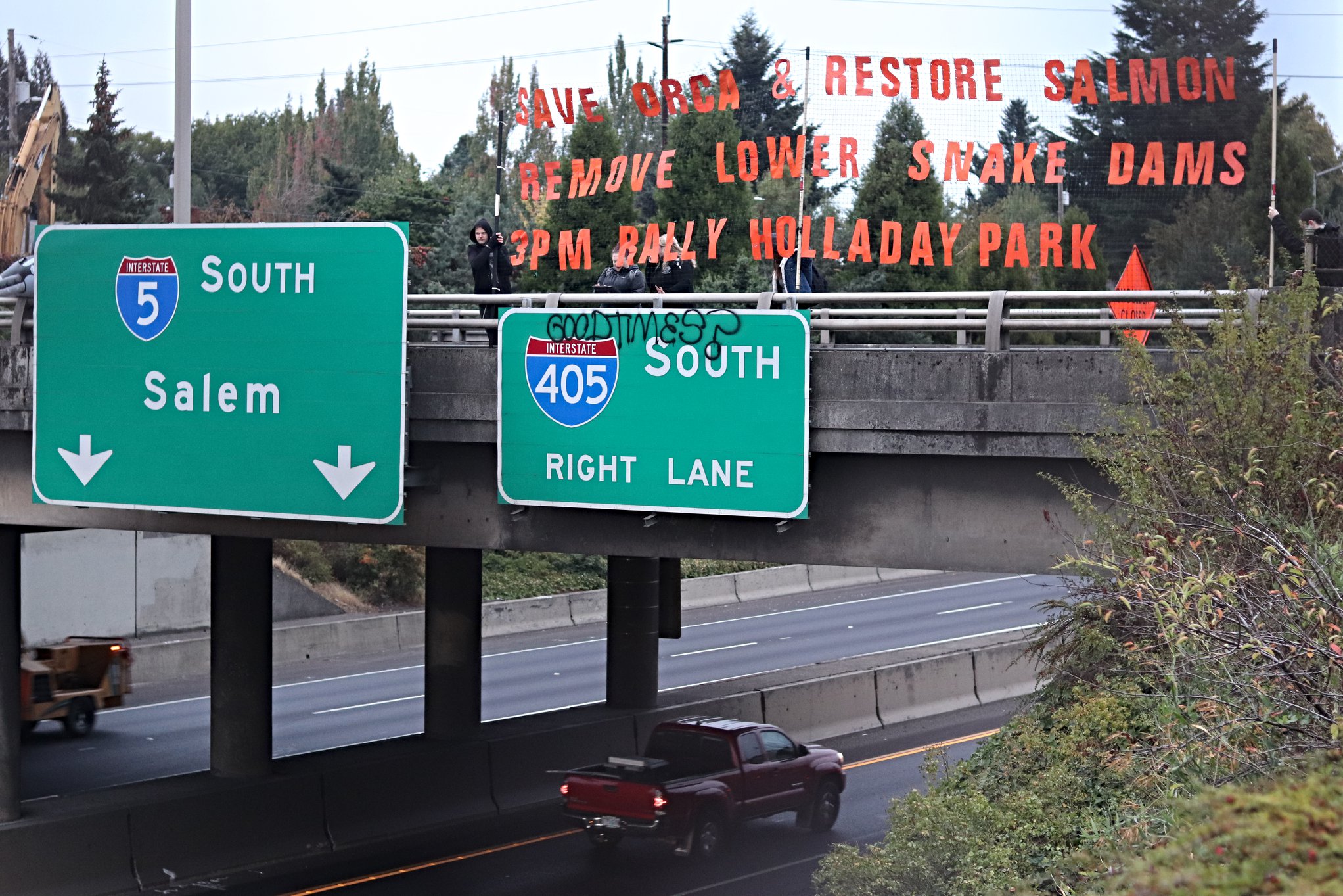 Save The Orca Bannering: Portland - Backbone Campaign