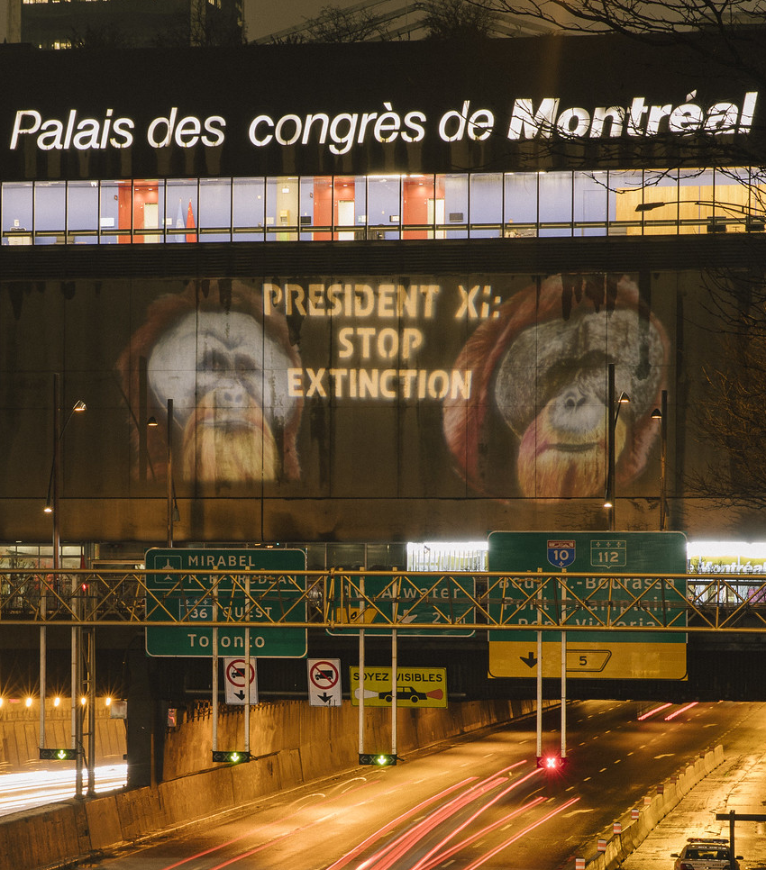 Stop Extinction Messages at COP15 in Montreal - Backbone Campaign