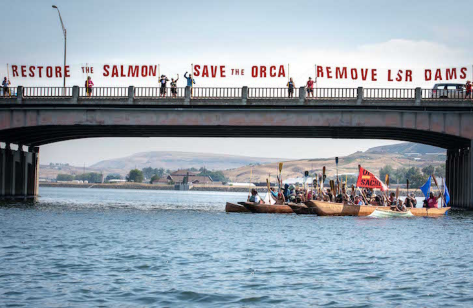 Free the Snake Flotilla at Hell's Gate - Backbone Campaign