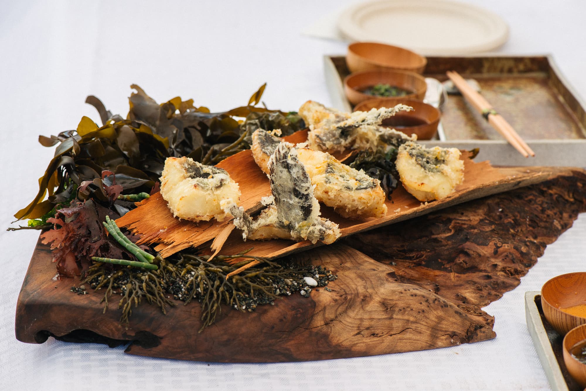 Catch + Cook for a Healthy Ocean Recap - Backcountry Hunters and Anglers