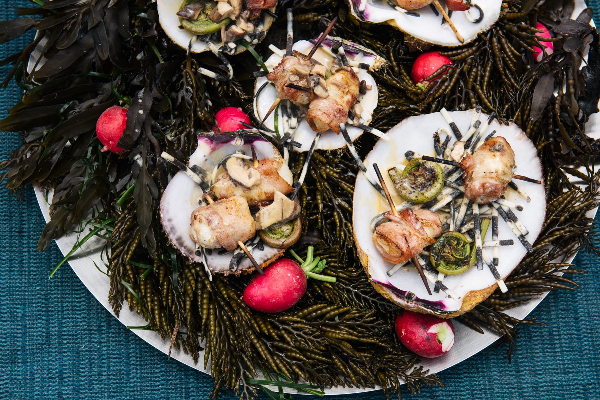 Catch + Cook for a Healthy Ocean Recap - Backcountry Hunters and Anglers