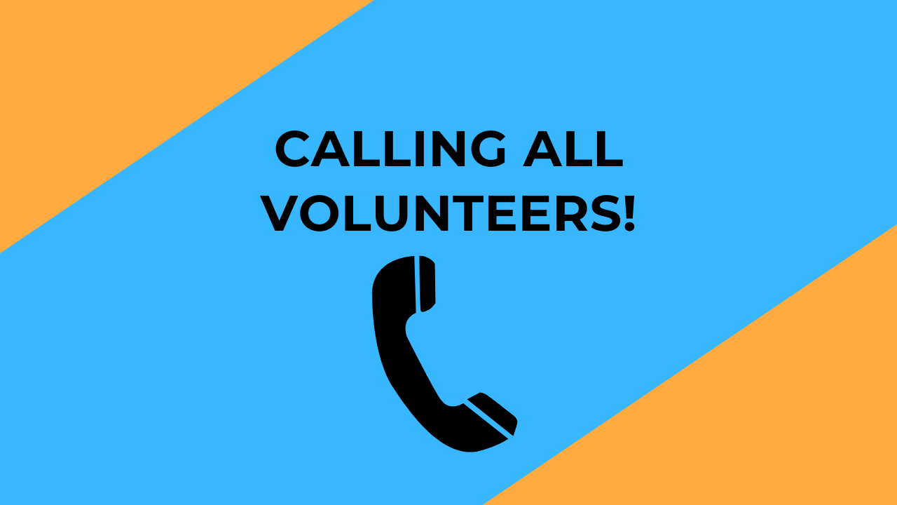 Volunteer Mobilization Phonebank: Thursday Shift - Better Ballot Georgia