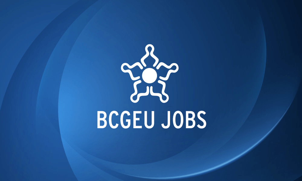 EXPRESSION OF INTEREST - EQUITY PRACTICUM PROGRAM - BC General ...