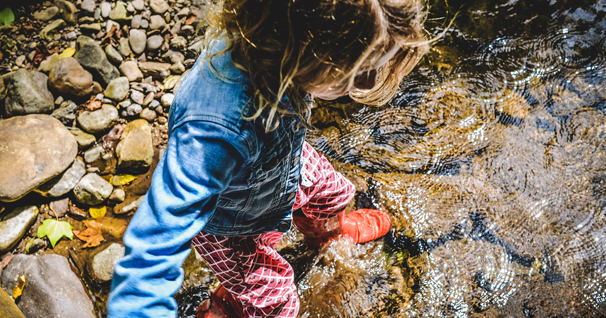 Healthy Nature - Green Party of Aotearoa New Zealand