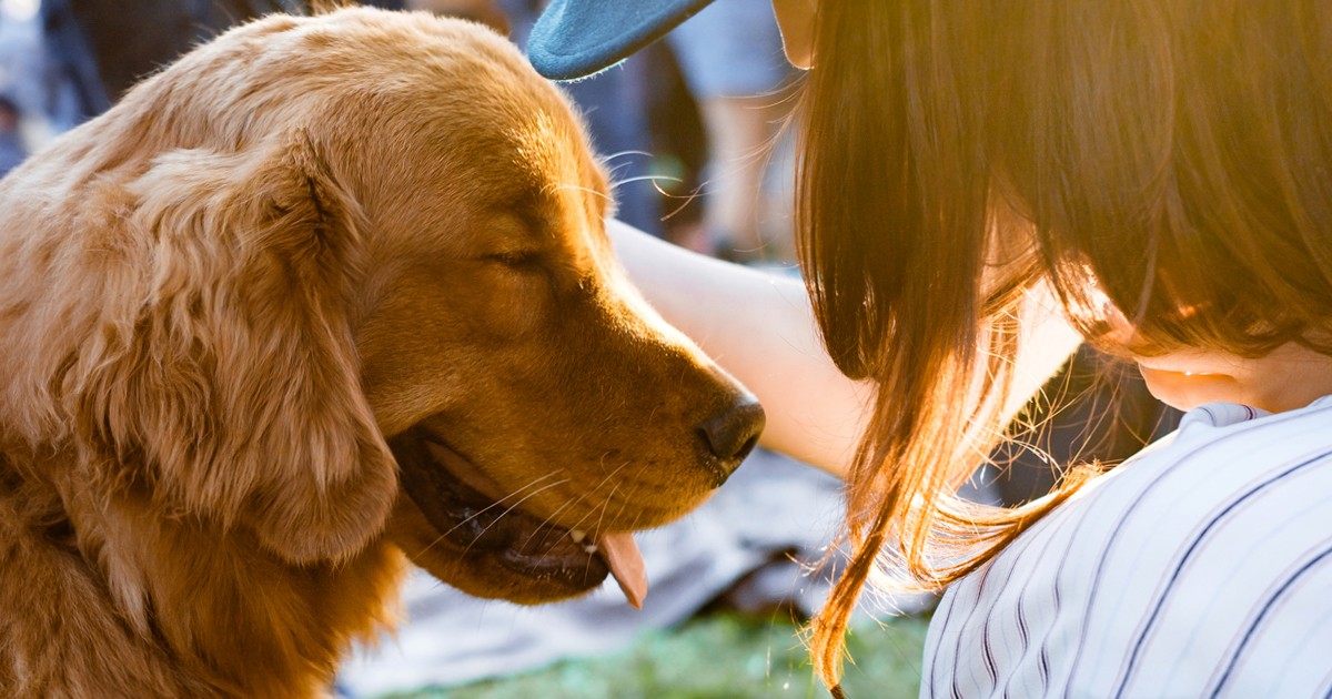 Animal Welfare - Green Party of Aotearoa New Zealand