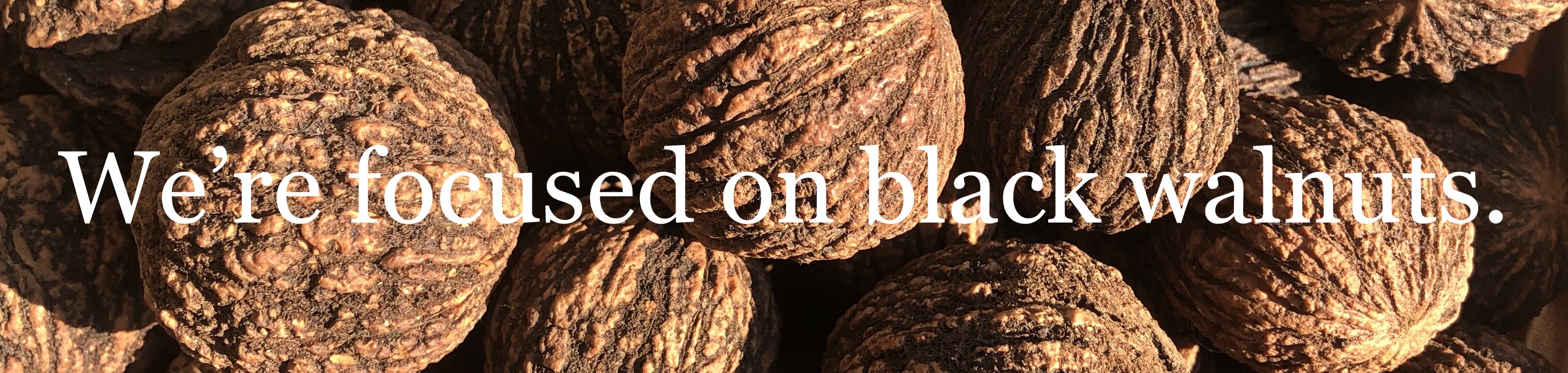 Black walnuts, nutshell products, onsite tours and more