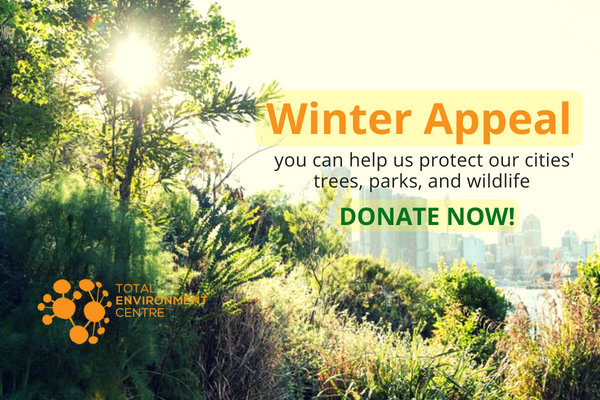 Winter Appeal - Total Environment Centre