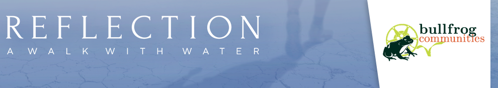 REFLECTION Large Community Screening License - Bullfrog Communities