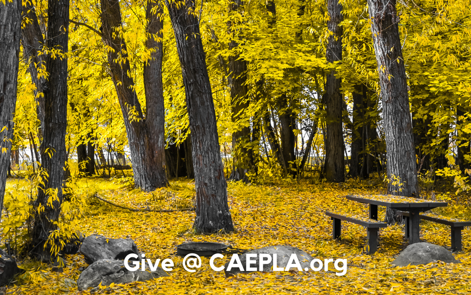 Manitoba Campground Expropriation - CAEPLA