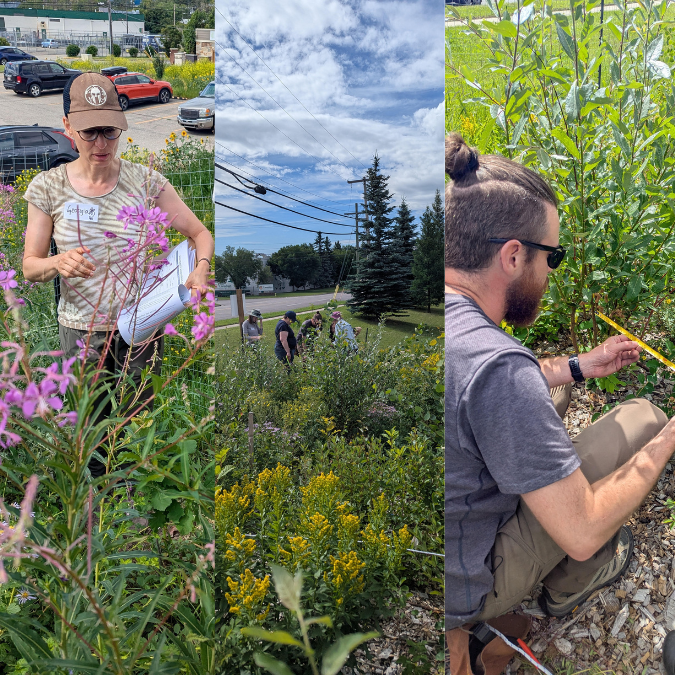 Mini Forest Citizen Science Training Day - Calgary Climate Hub