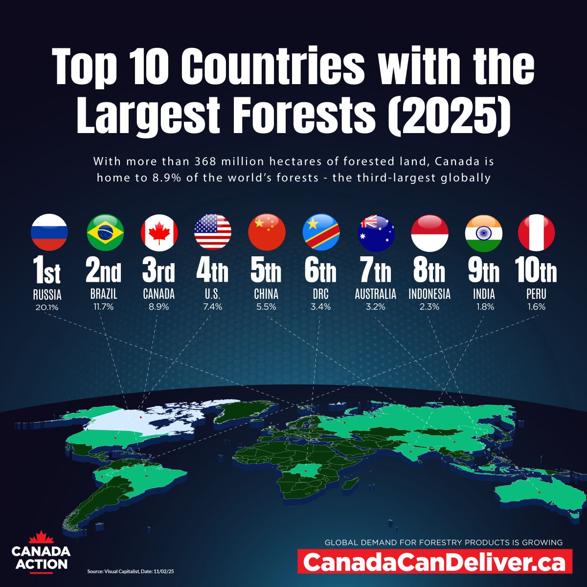 largest forests