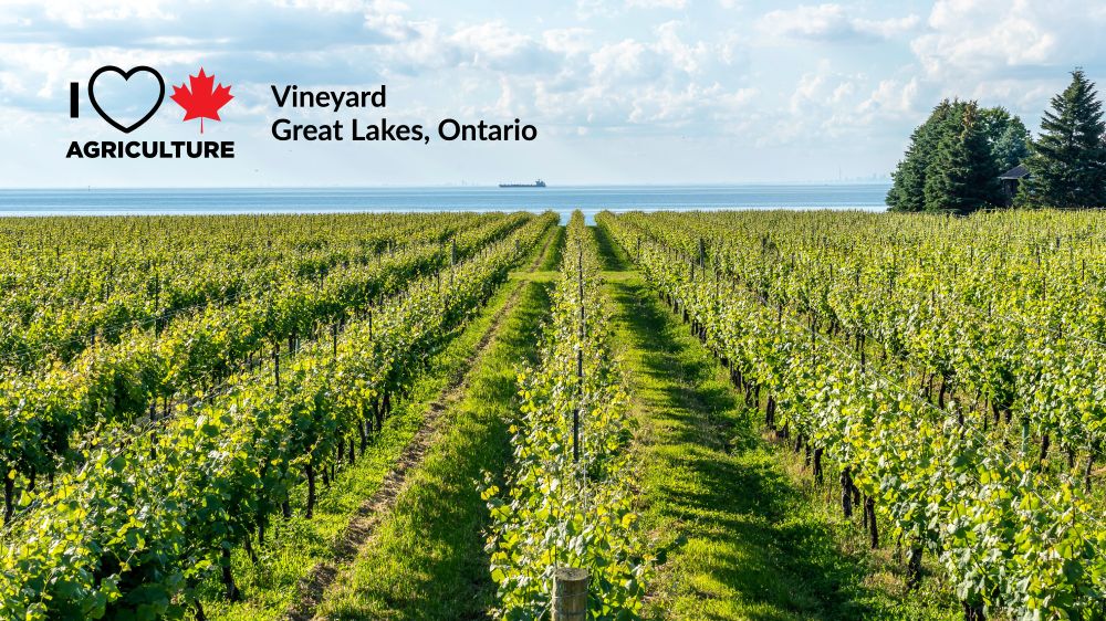 Farming & Agri-Food in Ontario: 30 Facts - Canada Action