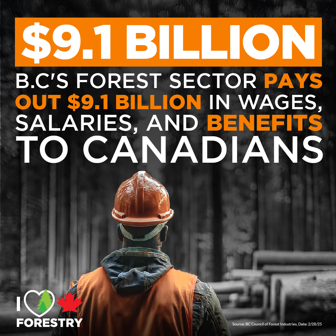 Forestry Infographics - Canada Action