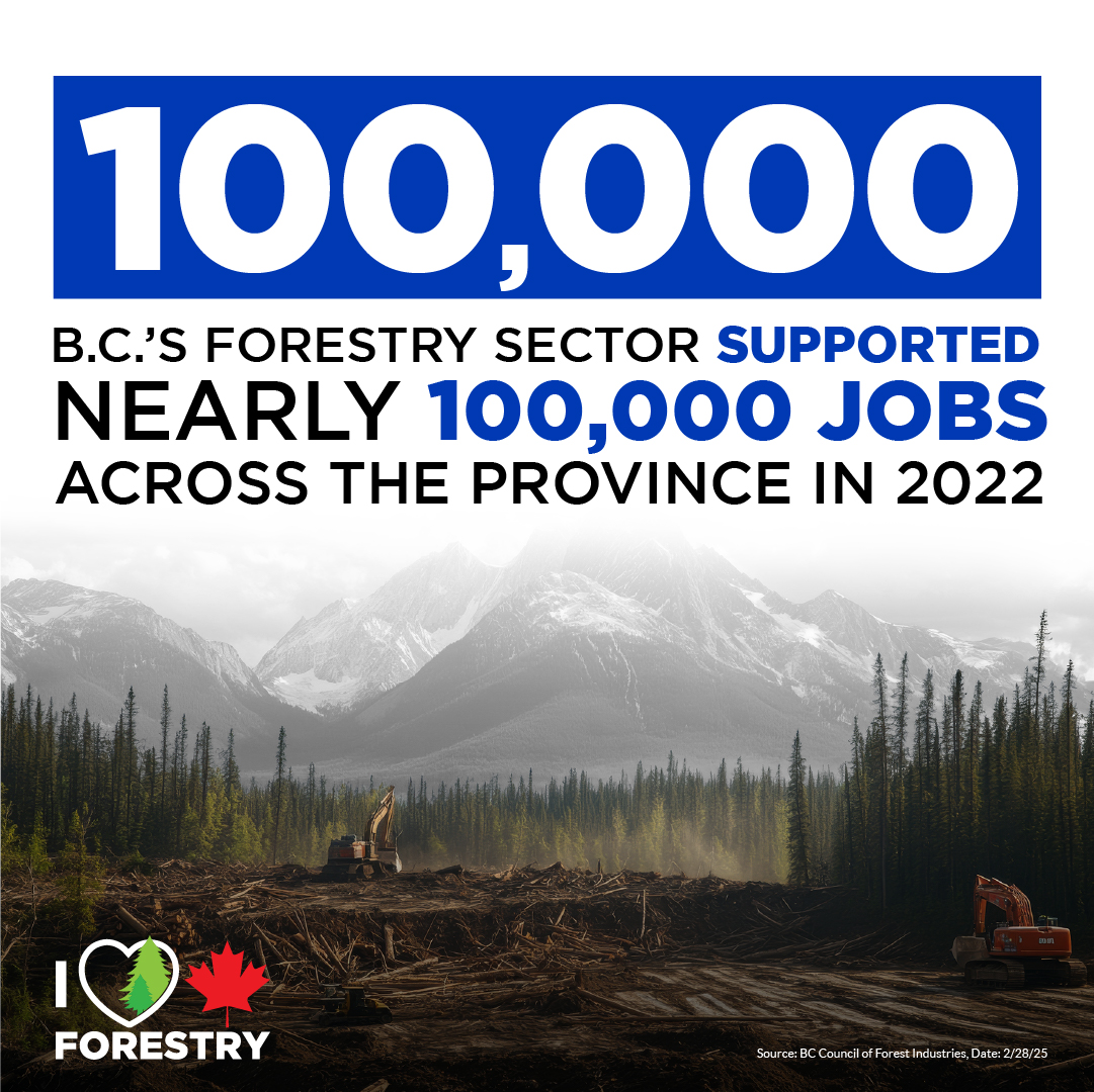 Forestry Infographics - Canada Action