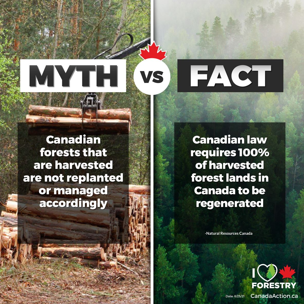 Forestry Infographics - Canada Action