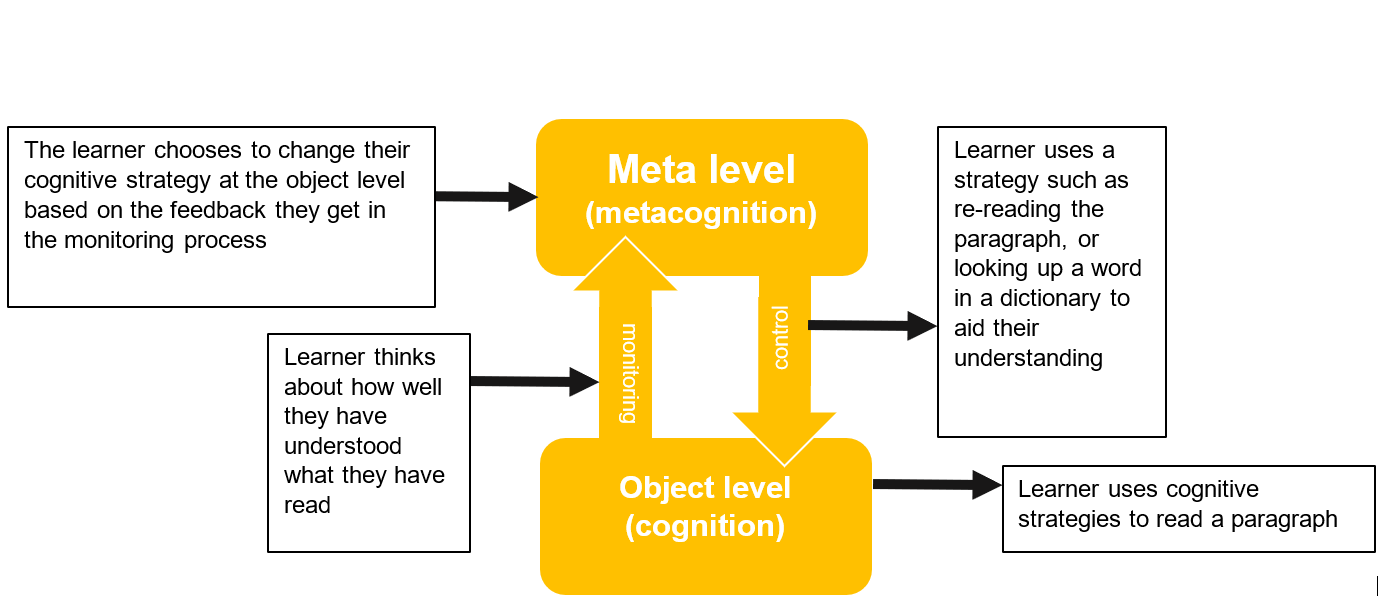 Metacognition Catalyst Psychology