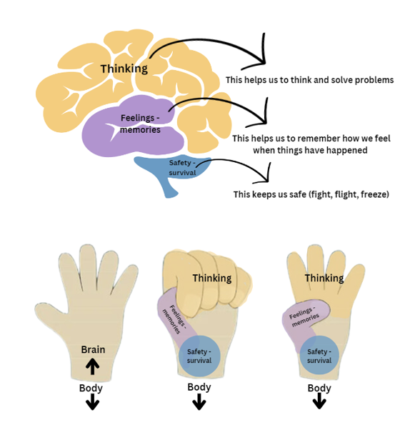 Belonging Matters: Guidance Around Wellbeing, Mental Health and Trauma ...
